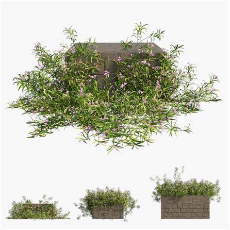 Sketchup Grass Models Turbosquid