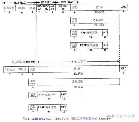 以太网头数据和8023的区别 知乎
