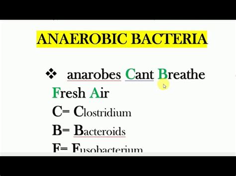 Anaerobic Vs Aerobic Bacteria