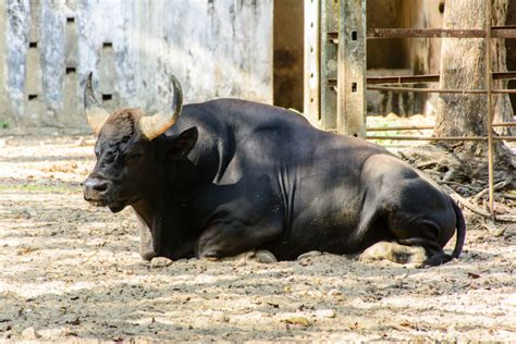 The Siesta: Everything You Need To Know - Go! Go! España