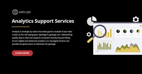 Analytics Support Services Softcrylic