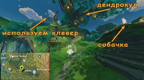 Все Дендрокулы в Genshin Impact карты и удобный поиск