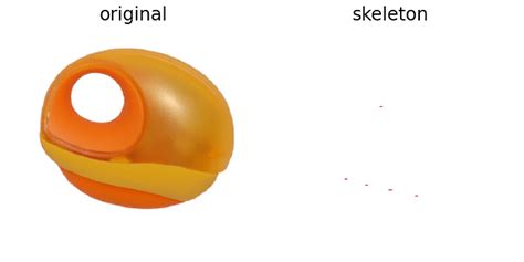 the skeletonize function output wrong figure usage and issues image sc forum