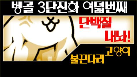 [모바일게임] 냥코대전쟁 드디어 3단진화 불끈다리 고양이 Youtube