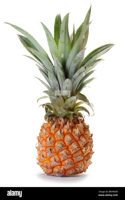 Pineapple Ananas Fruit With Green Leaves Isolated On White Background