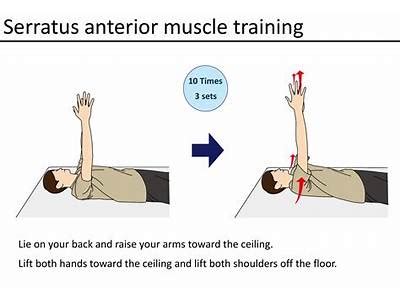 What Was Zyzz Workout Routine