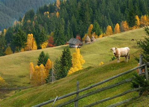 Marco Polo ΚΑΡΠΑΘΙΑ ΟΡΗ ΣΕ ΦΩΤΟΓΡΑΦΙΕΣ