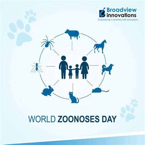 broadview innovations pvt ltd