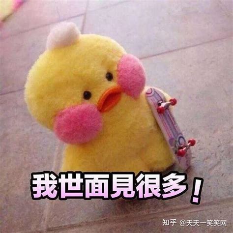 爆笑经典火锅搞笑冷笑话糗事大学搞笑经典笑话 知乎