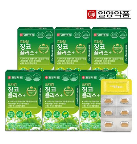 일양약품 프라임 징코 플러스 30정 6박스6개월분 은행잎추출물 티몬