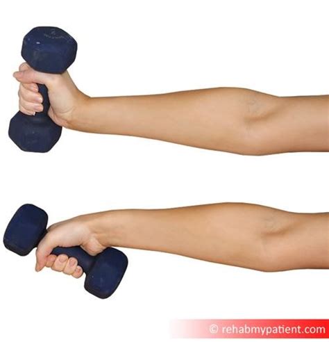 Extensor Digitorum Rehab My Patient