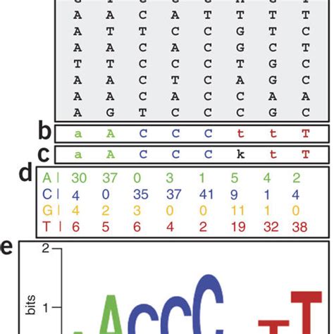Graphical Flowchart Showing The Links Between Regulatory Sequence