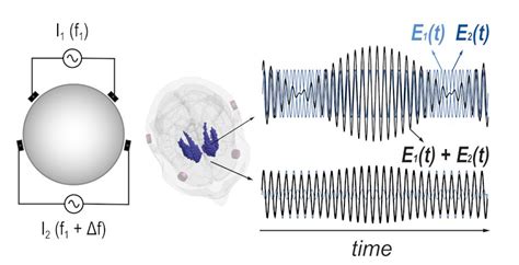 New Paper Out In Nature Neuroscience ‒ Uphummel ‐ Epfl