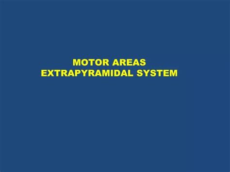Ppt Motor Areas Extrapyramidal System Powerpoint Presentation Free Download Id 5963386