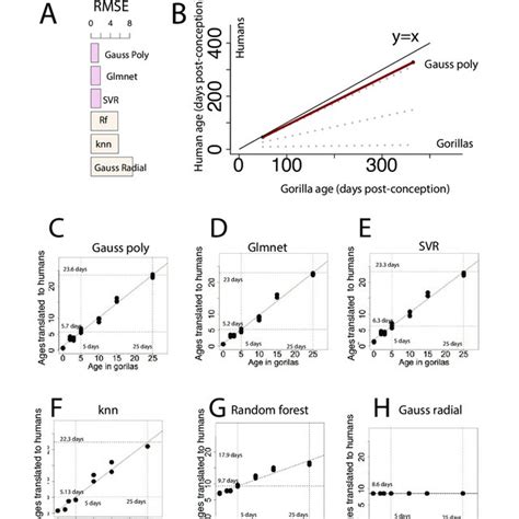 Fig S5 We Tested 6 Machine Learning Models To Generate Cross Species Download Scientific