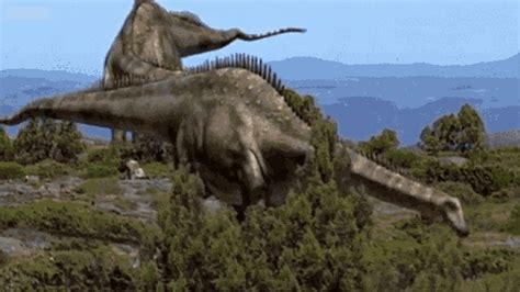 Diplodocus Walking With Dinosaurs Diplodocus Has Always Stood Out