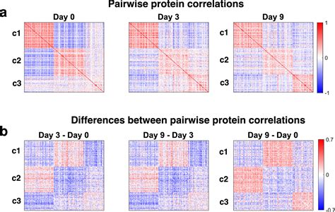 Transitional Epithelium