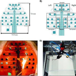 A Schematic Of Multielectrode Array Probe B Division Into Six Download Scientific Diagram