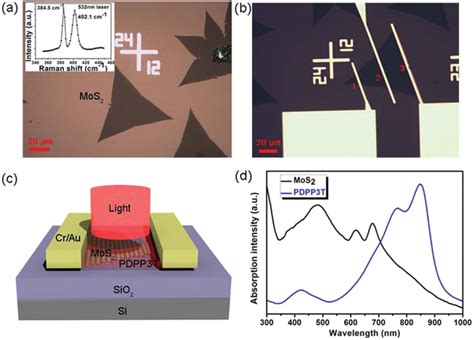 A The Optical Image Of Monolayer Mos2 Film On The Si Sio2 Substrate