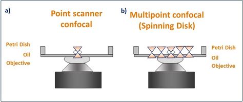 Overview Of Microscopy Techniques Confocal Widefield Transmitted Light And Deconvolution