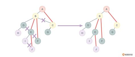 树、森林、二叉树：相互之间的转换 知乎