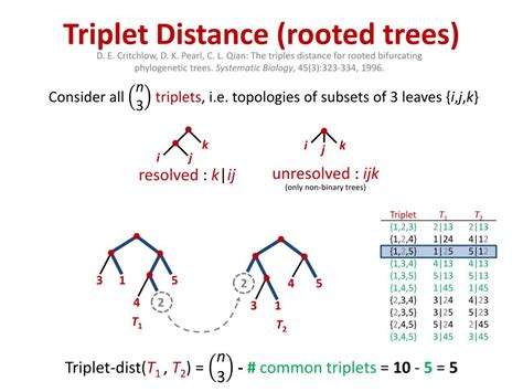 ppt triplet and quartet distances between trees of arbitrary degree