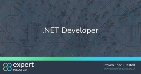 Expert Resource On Linkedin Net Developer