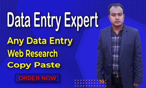 do any data entry web research and convert file excel by