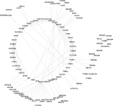 Biological Interaction Network Generated Using Cytoscape V3 8 2 For The Download Scientific