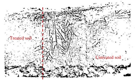 The Formation Of The Cryogenic Texture On The Boundary Of The Soil