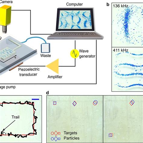Pdf Controlled Manipulation And Active Sorting Of Particles Inside Microfluidic Chips Using