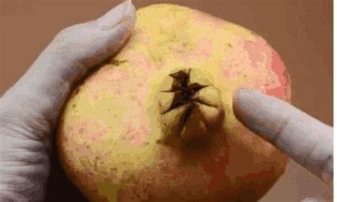 石榴越紅越好挑選石榴時注意這3點挑出的石榴皮薄肉多又甘甜 每日頭條