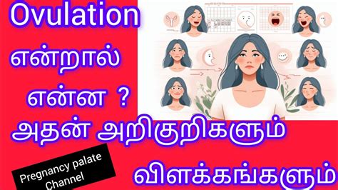 Ovulation Signs And Symptoms In Tamilpregnancy Palate Youtube