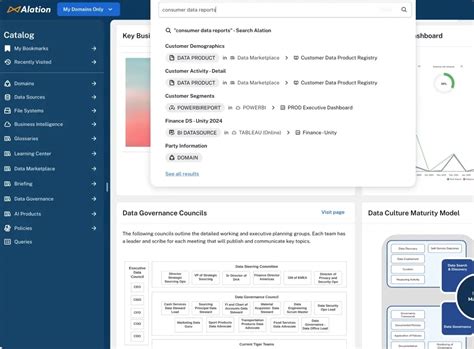 Alation Data Catalog Dbms Tools