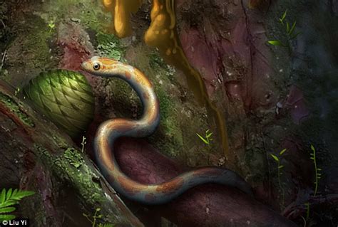 Ancient Baby Snake Fossil That Could Rewrite The History Of Serpents Daily Mail Online