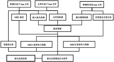 Tumor Neoantigen Detection Method And Device Based On Next Generation Sequencing And Storage