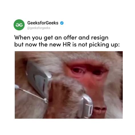 Geeksforgeeks On Linkedin Funnyreels Programmingmemes Programmerhumor Codinghumour