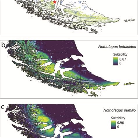 A Present Distribution Of Nothofagus Betuloides And Nothofagus Pumilio