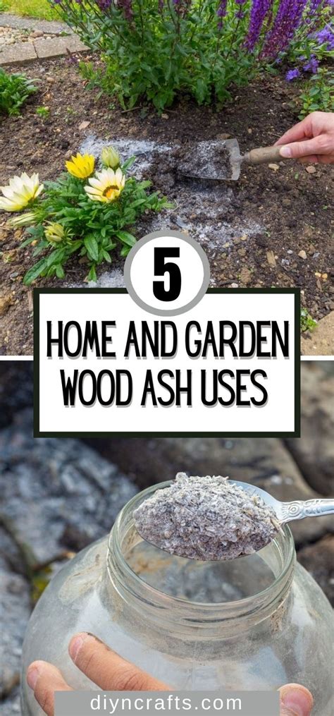 5 Ways To Use Wood Ash In The Garden How To Store It Diy And Crafts