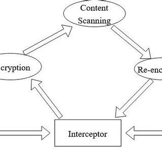 1 D CNN Model Summary Download Scientific Diagram