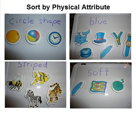 Learners In Bloom Organizing Objects Into Categories