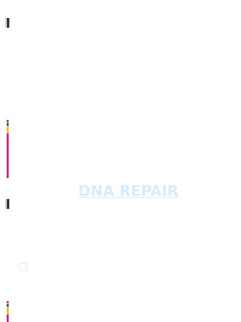 Dna Repair Click To Edit Master Subtitle Style Pdf Dna Repair Dna