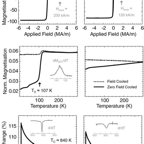 Magnetic And Magneto Thermogravimetric Data For The Dtu100 Magnetite Download Scientific