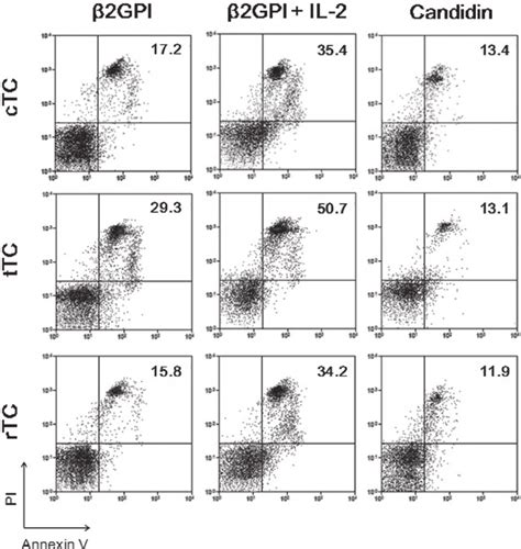 Effector memory T cells stimulated with β 2 GPI loaded 10 TGF DC show Download Scientific
