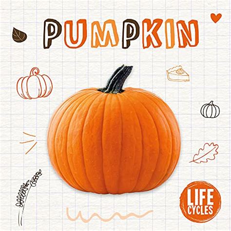 Pumpkin Sequencing Worksheet Explore The Pumpkin Life Cycle