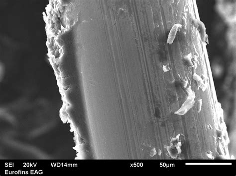 Corrosion Testing For Medical Devices Eag Laboratories