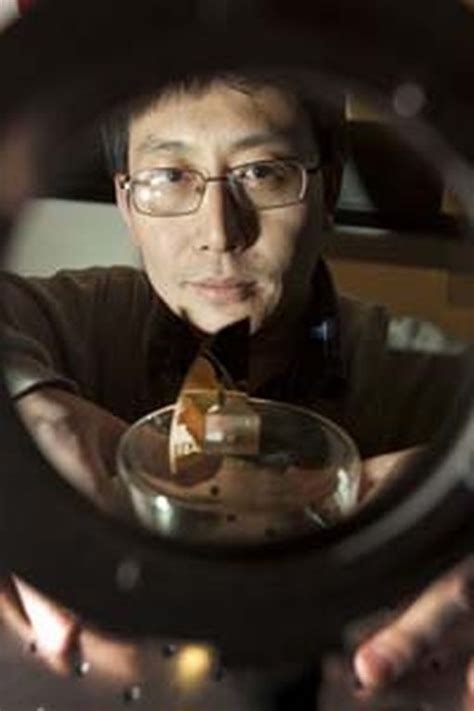 Birmingham Scientists Create Harry Potter Style Cloak Of Invisibility