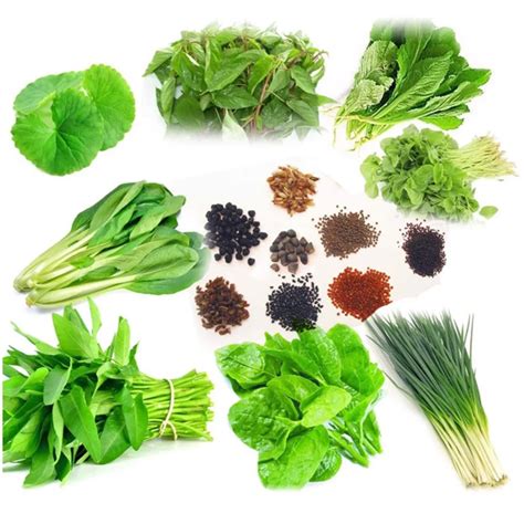 Cách xử lý hạt giống trước khi gieo trồng