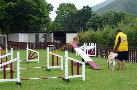 Pet Field 寵物新天地 香港狗公園 元朗寵物用品 元朗寵物美容 元朗寵物café Zone One Zone 寵物推介