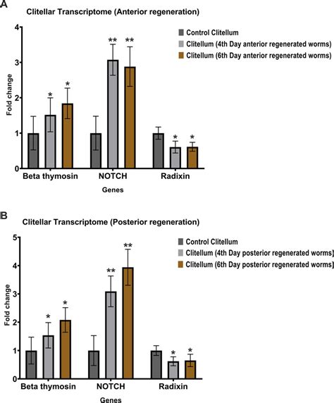 Quantitative Rt Pcr Validation Of The Transcriptome Data The Qrt Pcr Download Scientific